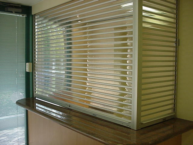 Mini Clearvision Roll-Up Door